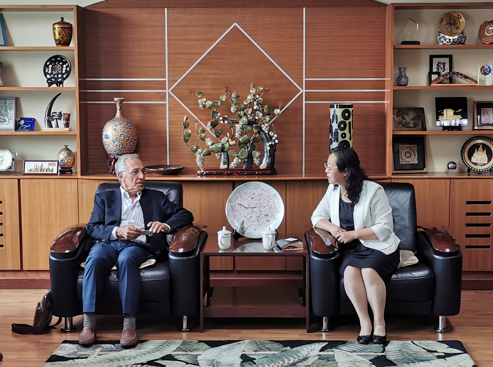 王瑶琪校长会见希伯来大学Shmuel ZAMIR教授-中央财经大学国际合作处